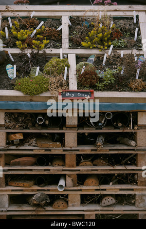 Insect hotel created using old pallets which provide an artificial home ...