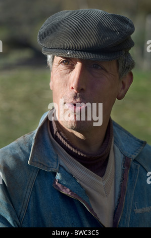 THE HIRED HAND Stock Photo - Alamy