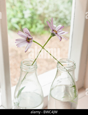 A Crossing of simple nature Stock Photo - Alamy