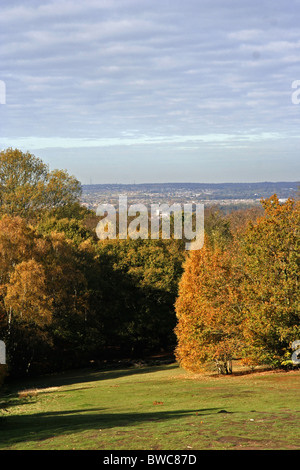 Epping Forest,High Beech or High Beach,inside Epping Forest and is ...