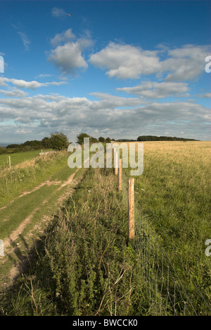 The South Downs Way at Rackham Hill between Washington and Amberley in ...