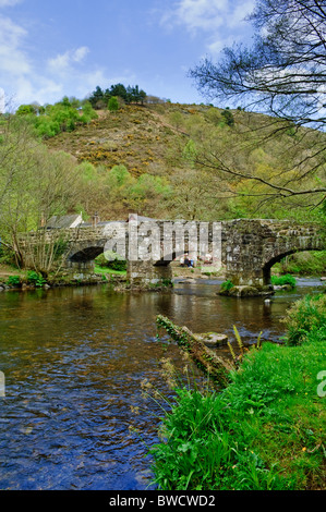 Fingle Bridge over the River Teign, Dartmoor, England Stock Photo - Alamy