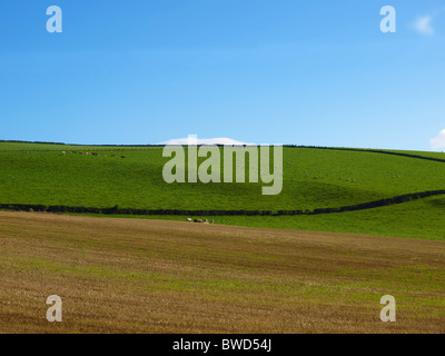 Panoramic landscape view of Cardross hills near Glasgow in Scotland ...