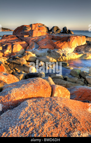Red oxide on Tasmanian rocks at sunrise at the Bay of Fires Stock Photo ...