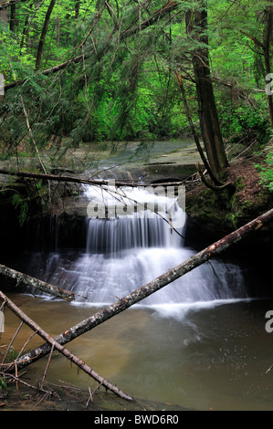 Creation Falls Clifty Wilderness Red River Gorge Geological Area Stock ...