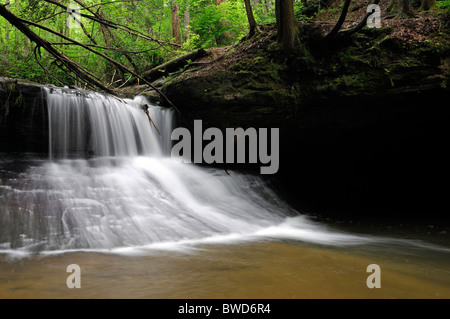 Creation Falls Clifty Wilderness Red River Gorge Geological Area Stock ...