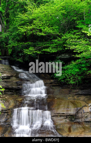unnamed transient falls waterfall Grayson Lake State Park Kentucky USA ...