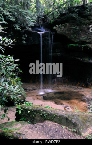 Pooch's Turtle Falls Waterfall Clifty Wilderness Area Red River Gorge ...