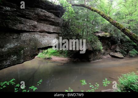 Rock Bridge Red River Gorge Geological Area Slade Kentucky Stock Photo ...