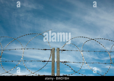 razor wire on top of a gate Stock Photo - Alamy