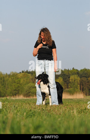 Border Collie shows dog dance Stock Photo - Alamy