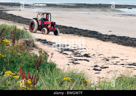 Agricultural tractor parked on sandy tropical beach surrounded by palm ...