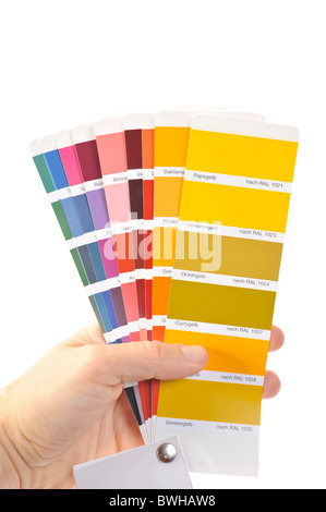 Color palette swatches. Palette of different colors and shades on wood ...