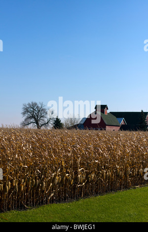 Midwest Farm in Fall Stock Photo - Alamy