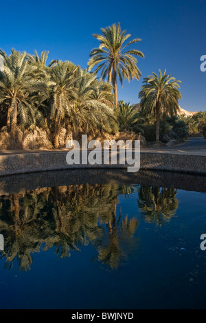 Cleopatra's Bath, natural spring, Siwa, Egypt Stock Photo - Alamy