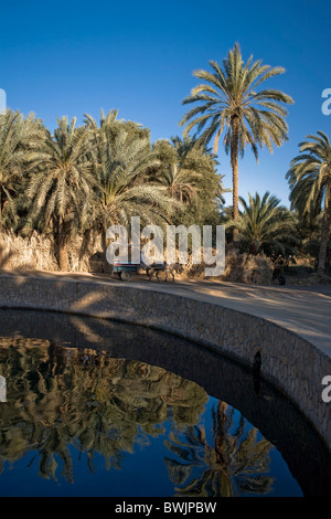 Cleopatra's Bath Natural Hot Spring, Siwa Oasis, Egypt Stock Photo - Alamy