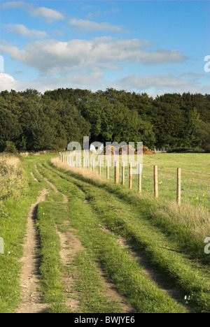 The South Downs Way at Rackham Hill between Washington and Amberley in ...