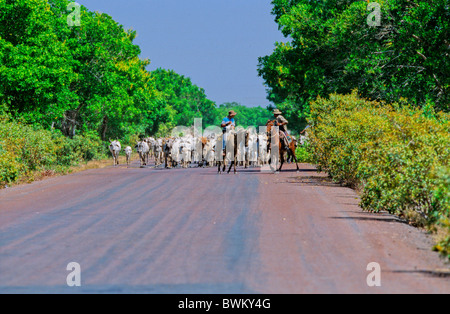 Venezuela South America Herdsmen Vaqueros Los Llanos Estado De Apure ...