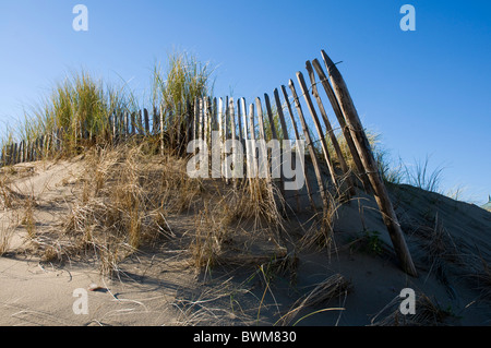 A collapsing fence on a sand dune, buried by sand Stock Photo - Alamy