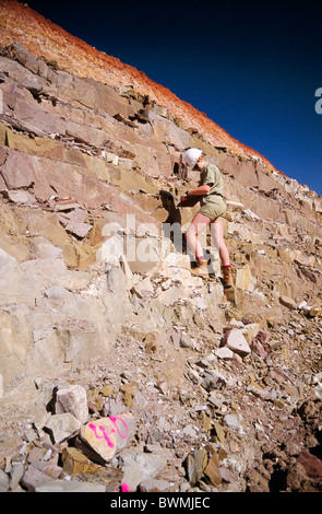 Geologist, Granites Gold Mine, Australia Stock Photo - Alamy