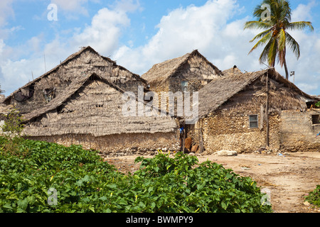 Pate Town, Pate Island near Lamu Island, Kenya Stock Photo - Alamy