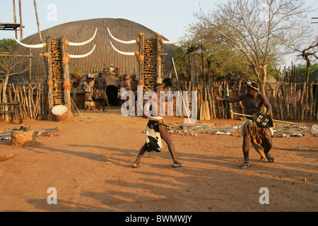 Zulu Men Demonstrating Fighting Techniques with Traditional Weapons ...