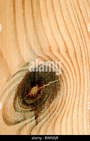 Knot in pine wood Stock Photo - Alamy