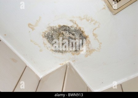 water damage bath bathroom ceiling condensation Economy humidity ...