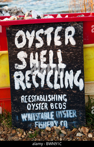 Oyster shells, London Stock Photo - Alamy