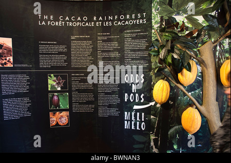 Ganong chocolate factory museum in Saint Stephen (St. Stephen), New ...