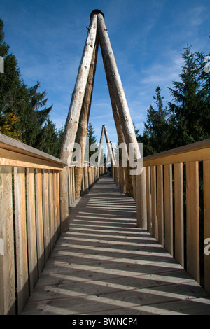 Austria Europe Canopy walk Kopfing im Innkreis trees staircase wood ...