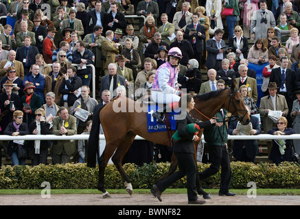 Championship Steeple Chase winning jockey, Robert Thornton and horse ...