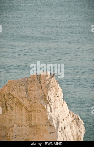 In the Edge of the Sea Stock Photo - Alamy