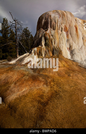 Mammoth's Orange spring mound in Yellowstone National park Stock Photo ...