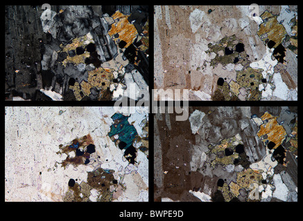 Igneous rock : Tonalite Stock Photo - Alamy