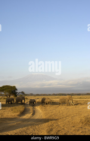 Africa Kenya Kimana area Mount Kilimanjaro scenery landscape landscape ...