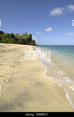 Grenada Carribean Magazine beach sandy beach footsteps coast sea ...