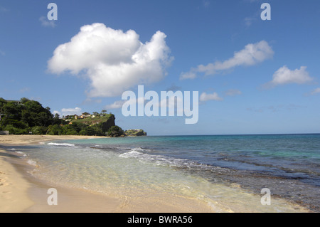 Grenada Carribean Magazine beach sandy beach footsteps coast sea ...