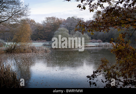frozen / icy pond on a winters day surrounded by trees and foliage ...