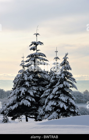 Winter in Airdrie and Coatbridge, with snow-covered trees on Airdrie ...
