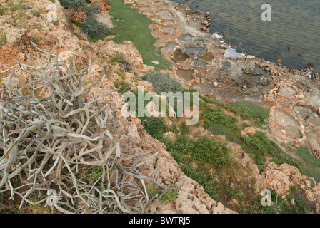 Yemen Socotra island Salt ponds Arabic Arabian Arab travel UNESCO world ...