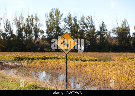 Caution Deer crossing sign. Forest Holidays in winter time Stock Photo ...