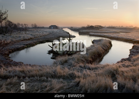Thames barge wreck, in morning frost at high tide, on saltmarshes ...