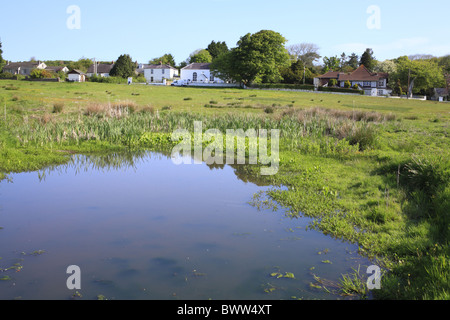 vvillage green pond water burry gower wales welsh britain british ...