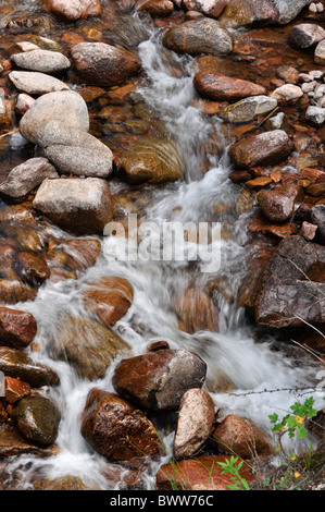 From above bubbling brook with stones and dark water in forest of ...
