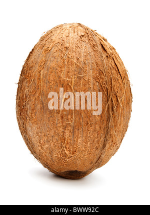 One ripe coconut on grey background. Flat lay, top view. Summer concept ...