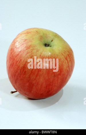 Apple Tree Variety : Idared Stock Photo - Alamy