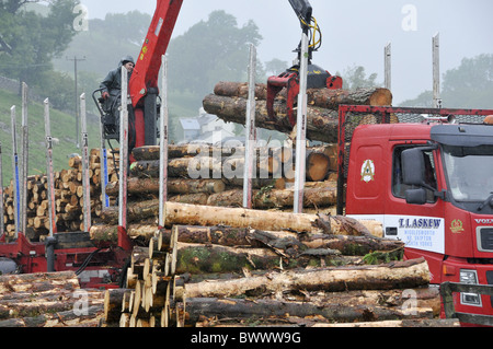forest forestry loading wood farm farms farming agriculture Stock Photo ...