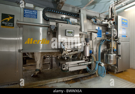 Fullwood Merlin automatic cow dairy milk parlour robotic tanker farm ...