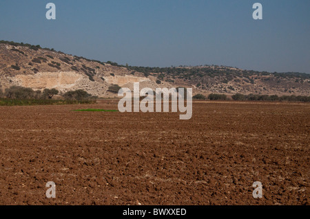The valley of Elah where David fought Goliath Stock Photo - Alamy